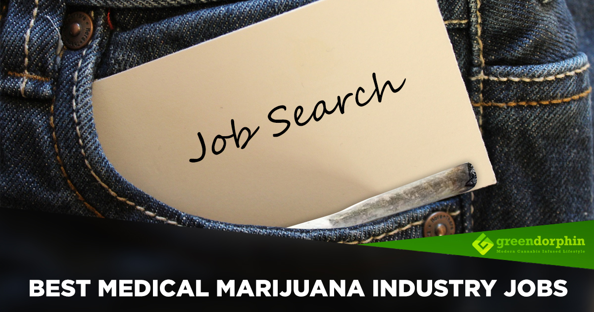Find Out The Best Cannabis Jobs You Can Get | Greendorphin.com