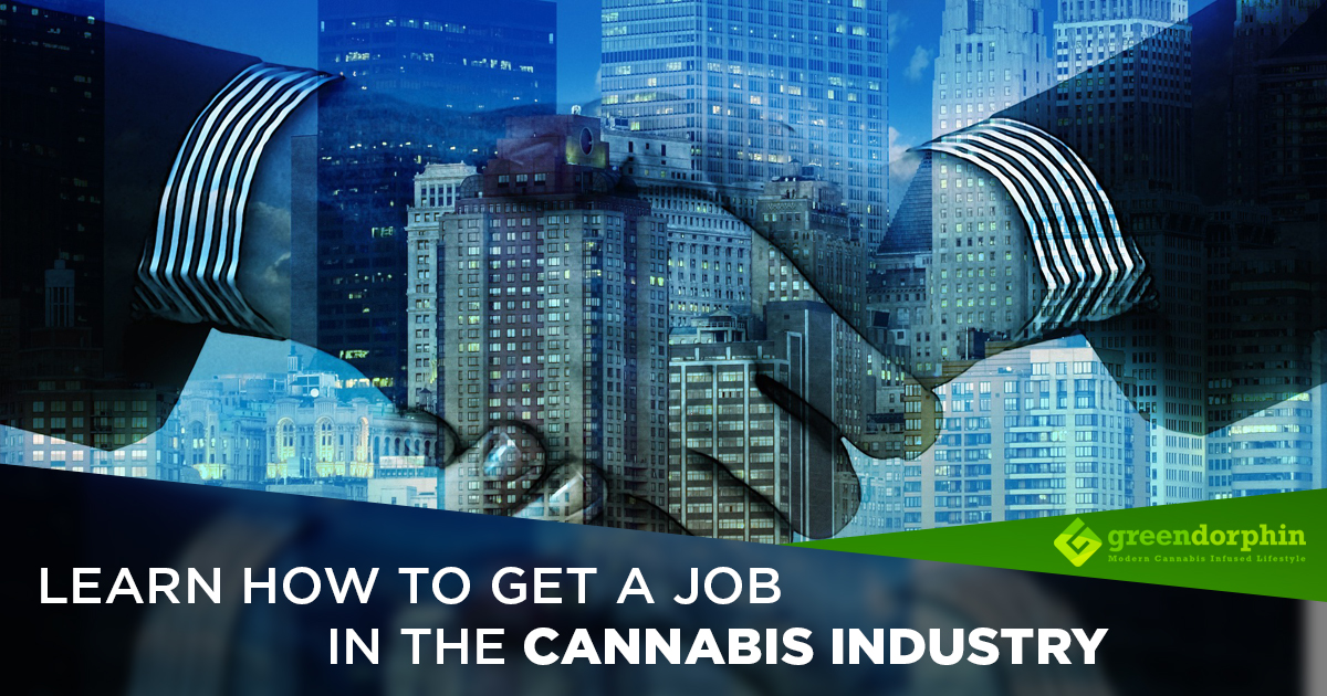 How to Get a Cannabis Job in the Cannabis Industry
