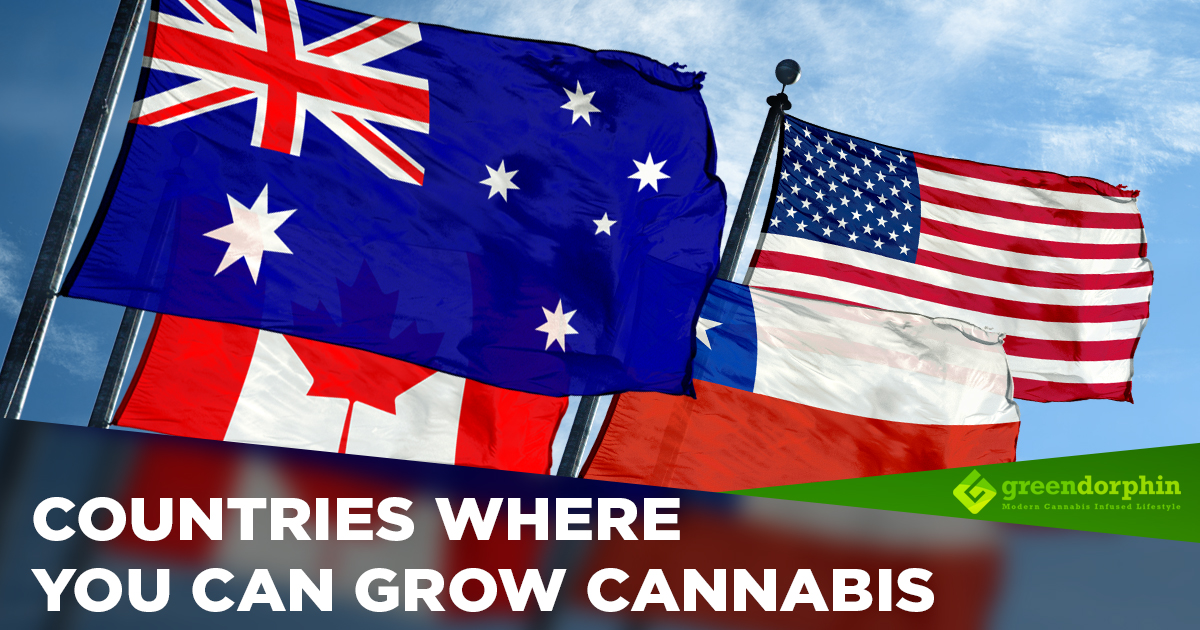 Countries Where You can Grow Your Own Cannabis