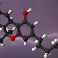 What is THC? The Most Studied Cannabinoid from Marijuana