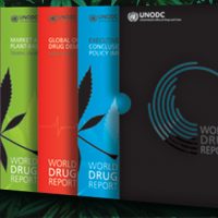5 Learnings about Cannabis: The United Nations World Drug Report 2017