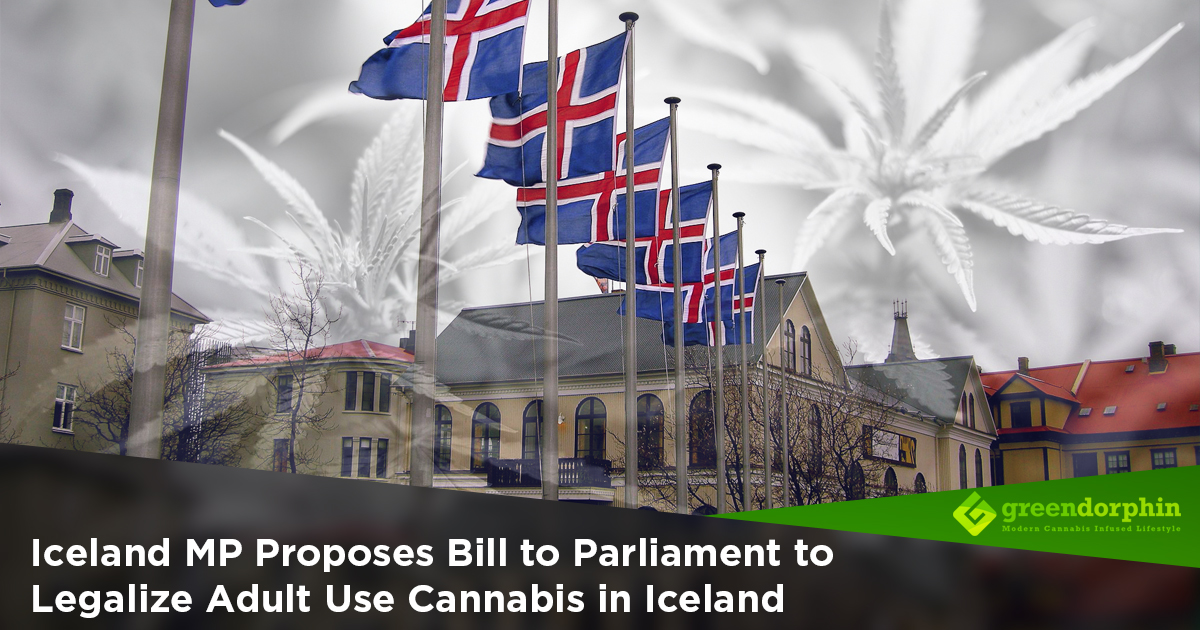 Iceland MP Proposes Bill to Legalize Adult Use Cannabis in Iceland