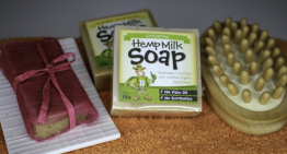 Smoking, Vaping and All The Other Ways of Taking Cannabis ...