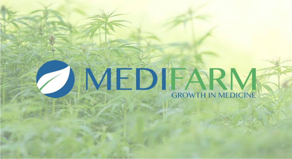 Legal Cannabis on Queensland's Sunshine Coast: The MEDIFARM Story